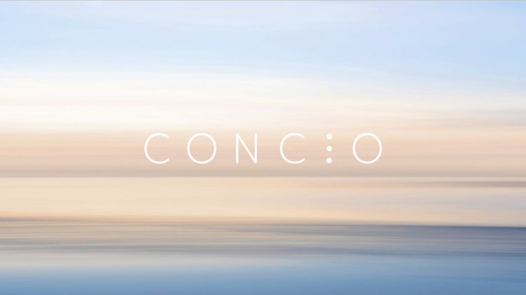 About – CONCIO